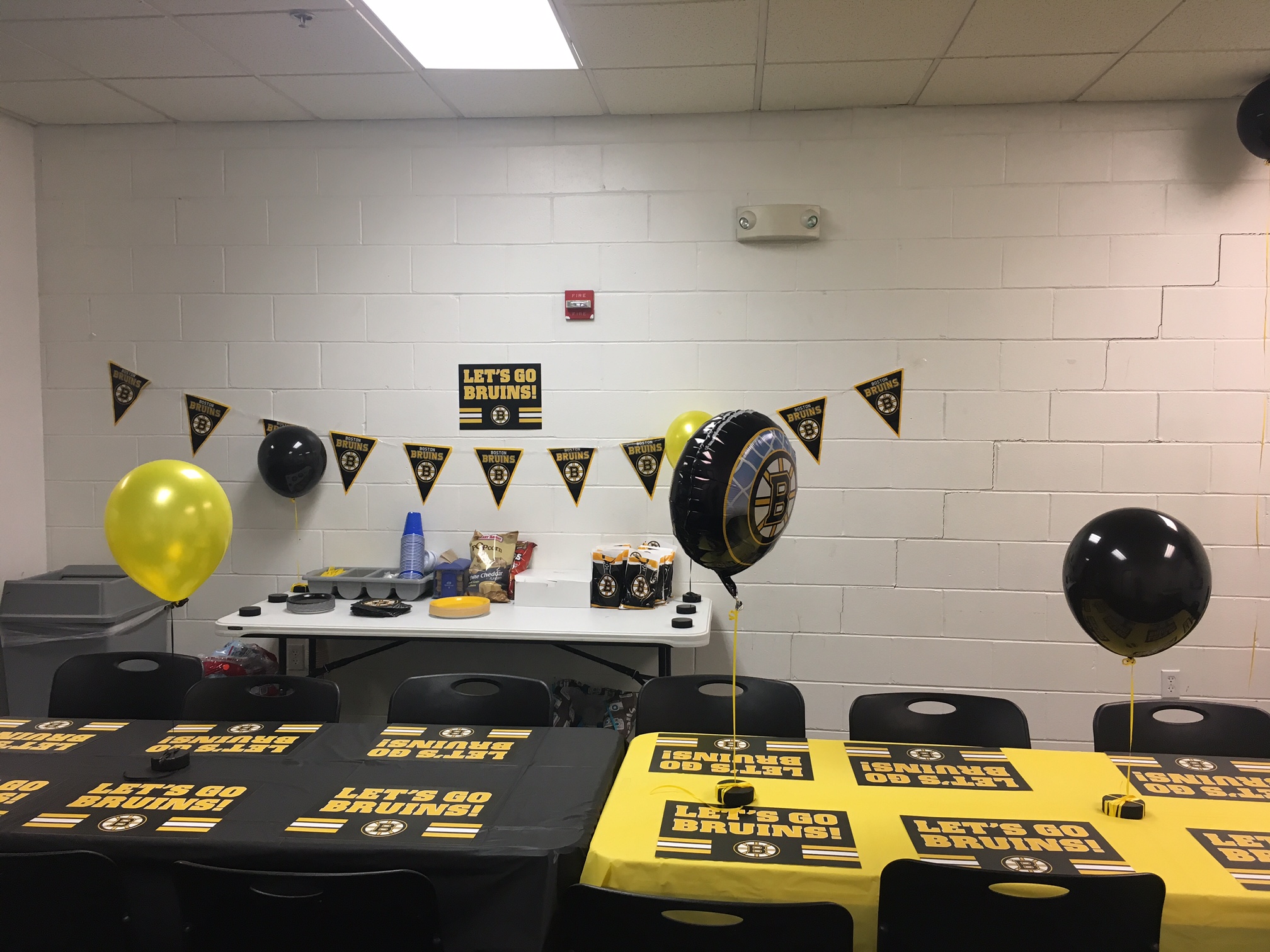 Skating Parties - Conway Arena